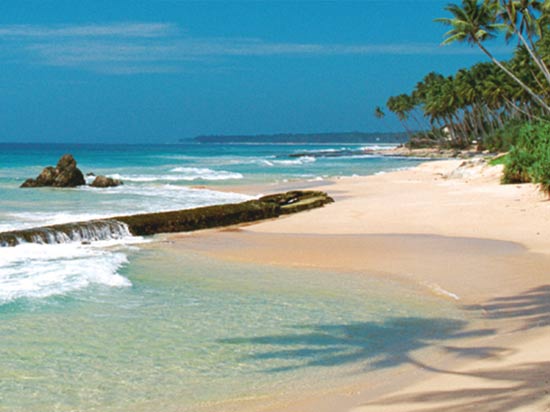 Voyage à la carte Ceylan, le pays de l'or vert Sri Lanka - Entre Nous